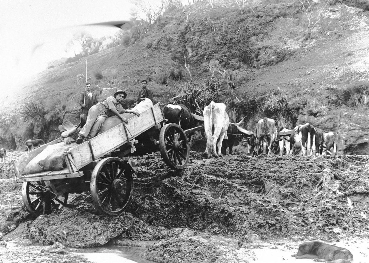 Ahipara - Te Ahu Museum