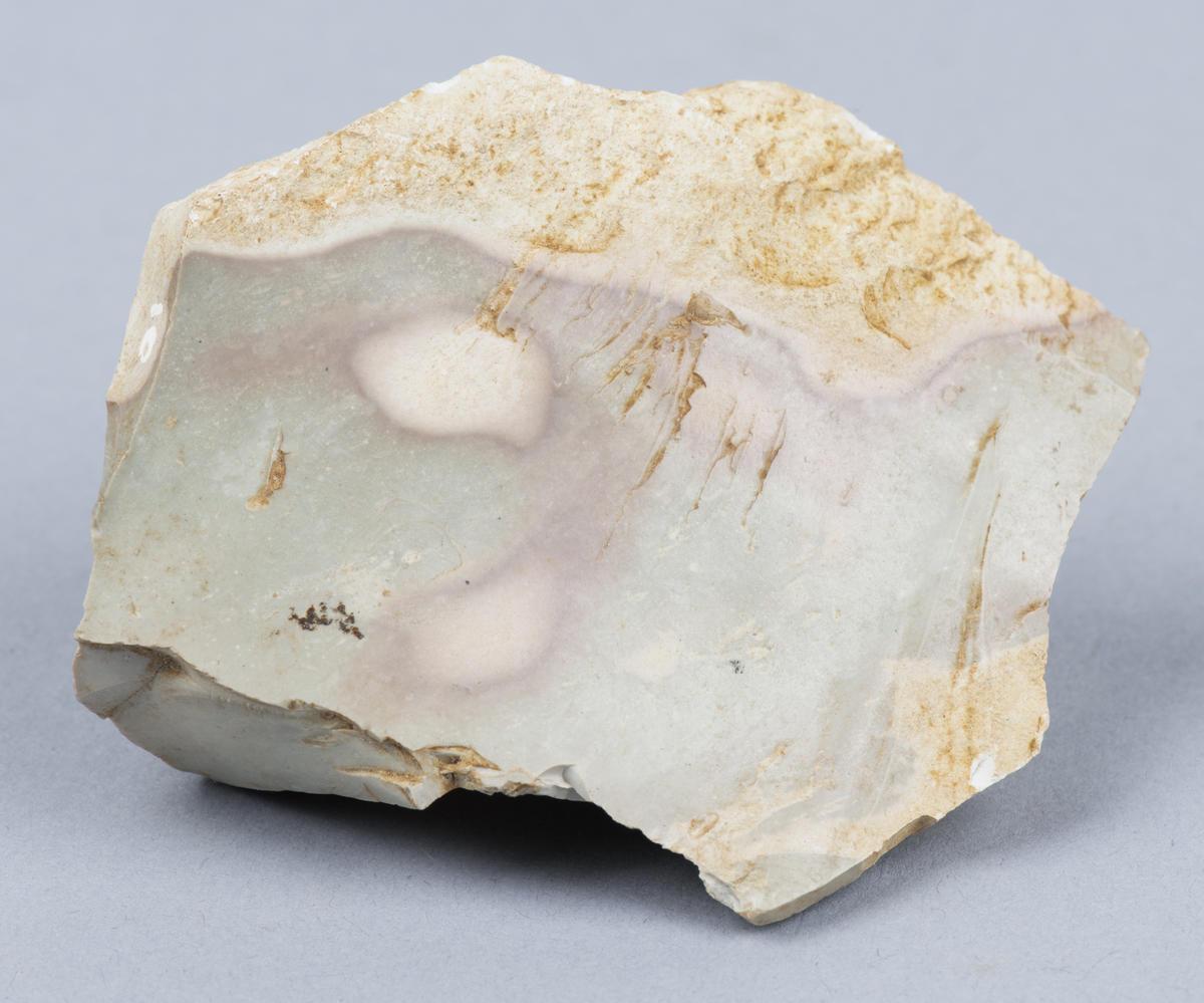 Claystone - Te Ahu Museum